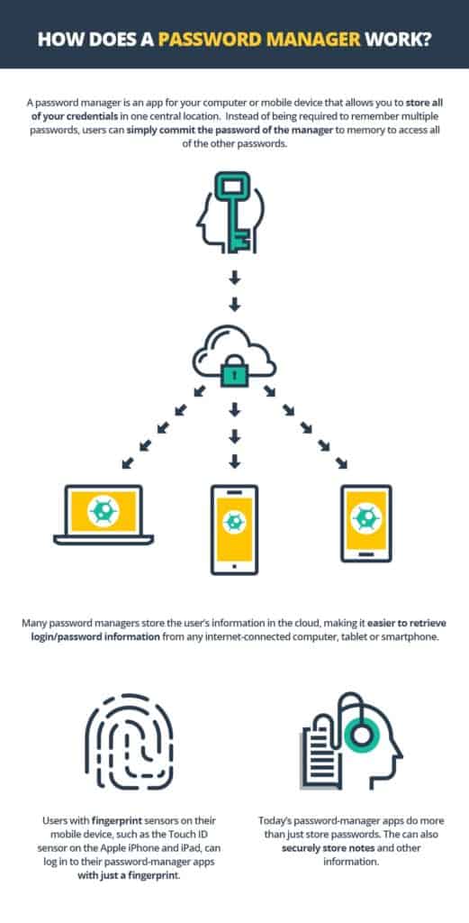 5 Best Password Managers Reviewed for 2025 (Free & Paid)