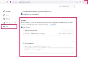 The Ultimate Guide to The Tor Browser - Everything Explained